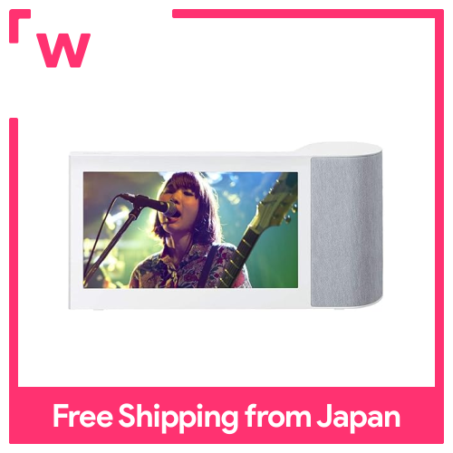 Panasonic With 10 inch monitor Wireless speaker Internet video support ...