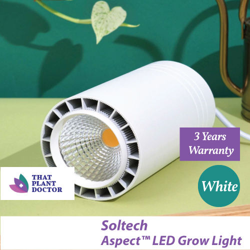 Aspect™ Growlight (Indoor Hanging Plant Essential Lighting) | Lazada