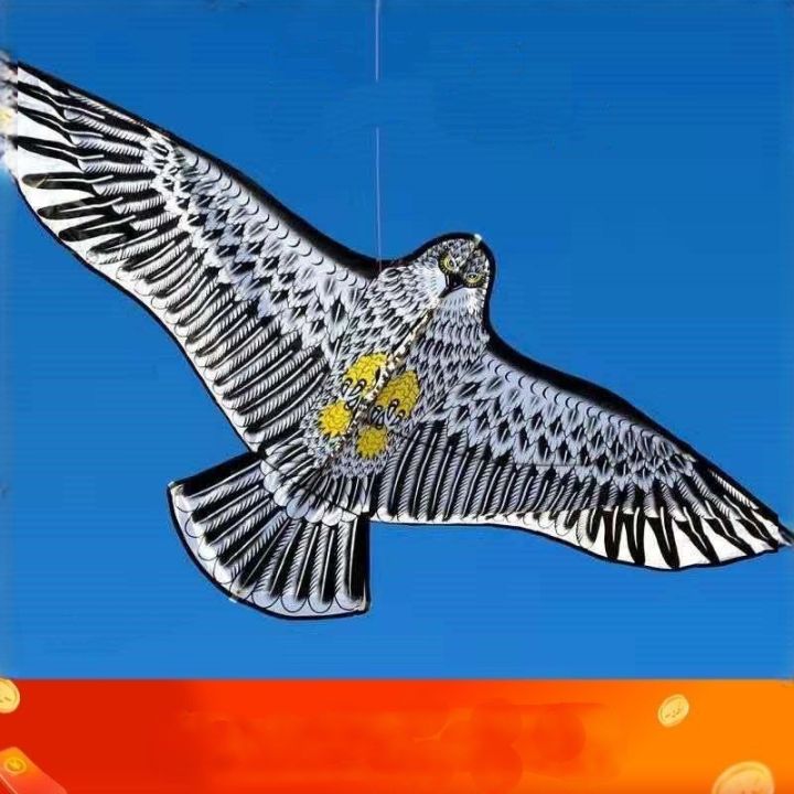 Flying Kite Set Toys Bird Beginner Eagle Kites Hawk String Colourful ...