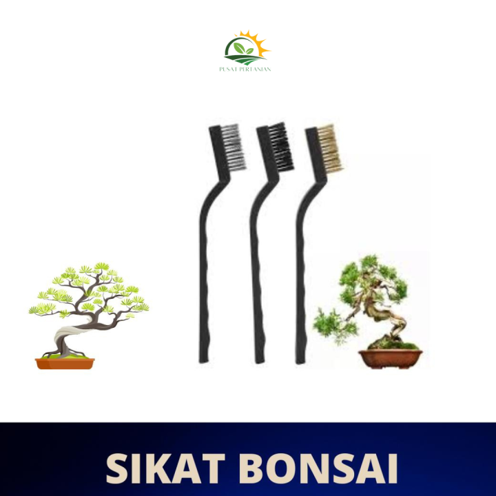 SIKAT BONSAI kuas kawat bengkok Pembersih Kerak Lumut Batang Tanaman ...
