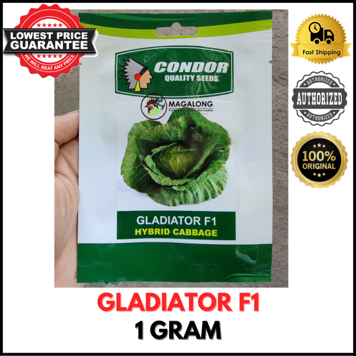 CONDOR SEEDS - CABBAGE SEEDS - GLADIATOR F1 HYBRID 1 Gram | Lazada PH