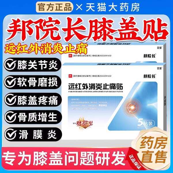 President Bang Far Infrared Antiinflammatory and Painful Patch Official ...