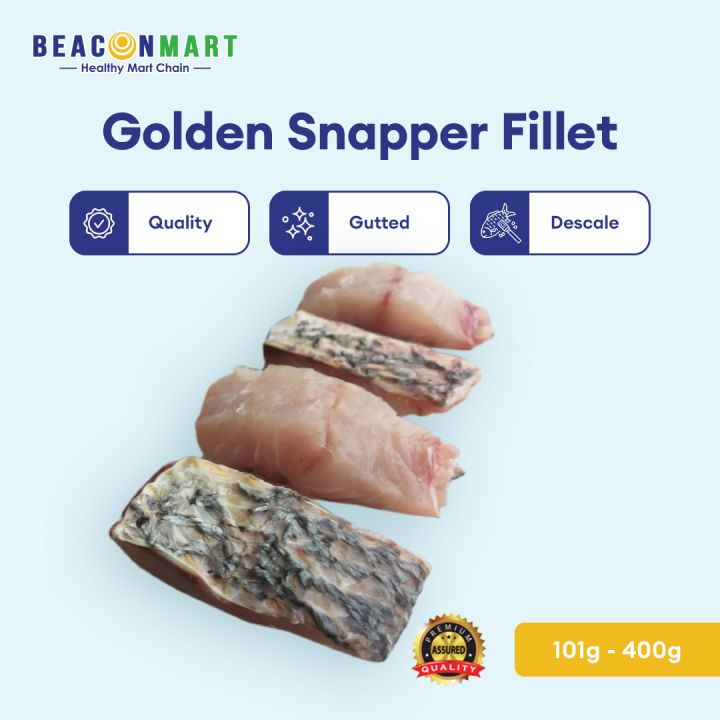 [Beacon Mart] Fresh Frozen Golden Snapper Fillet | Wild Caught Sabah ...