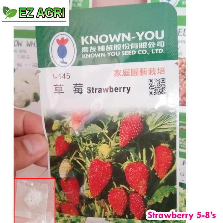 STRAWBERRY SEEDS HEAT RESISTANT HYBRID FOR PHILIPPINE CLIMATE SEALED ...
