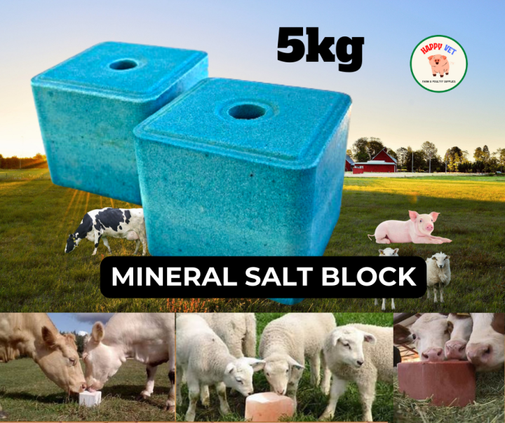 5kg Blue Salt Block Mineral for Ruminants Cow Goat Sheep Lick Himalayan ...