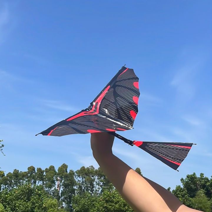 Carbon Fiber Model Aircraft Assembly Flapping Wing Aircraft Diy Model ...