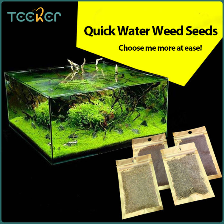 Teeker Aquarium Grass Moss Lawn Decoration for Fish Tank Accessories ...