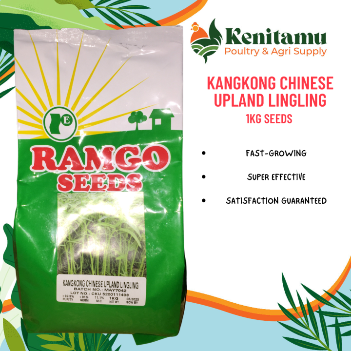 KANGKONG SEEDS - CHINESE KANGKONG 1KG PACK - RAMGO INTERNATIONAL FOR ...