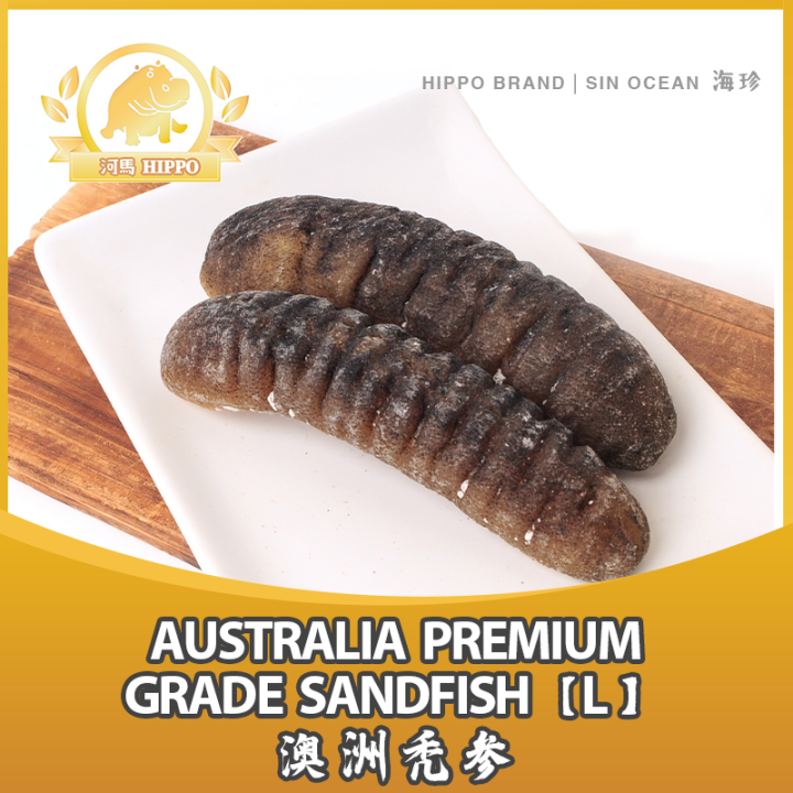 Sin Ocean | HIPPO | Australia Premium Grade Sandfish Dried Sea Cucumber ...