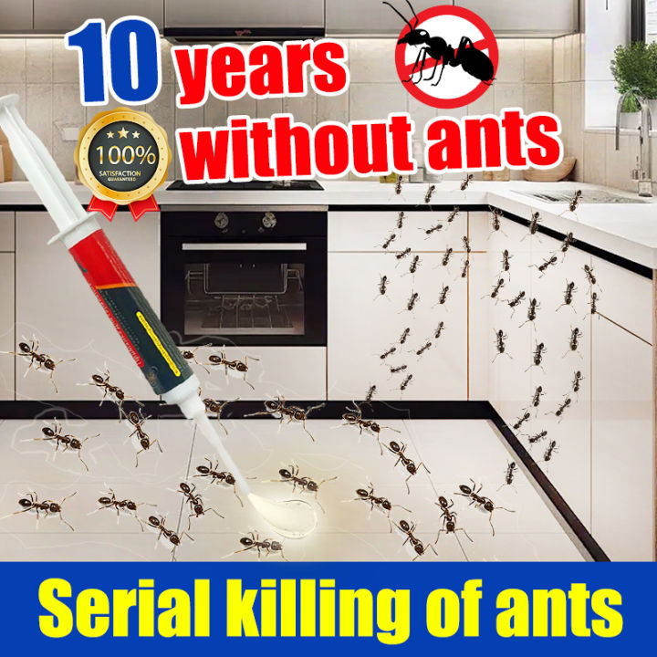 10 years without ants ants killer bait ant bait ubat semut Indoor ant ...
