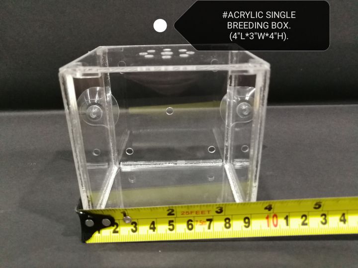 Acrylic Single Fish Breeding Box Aquarium Tank Ikan Akuarium | Lazada