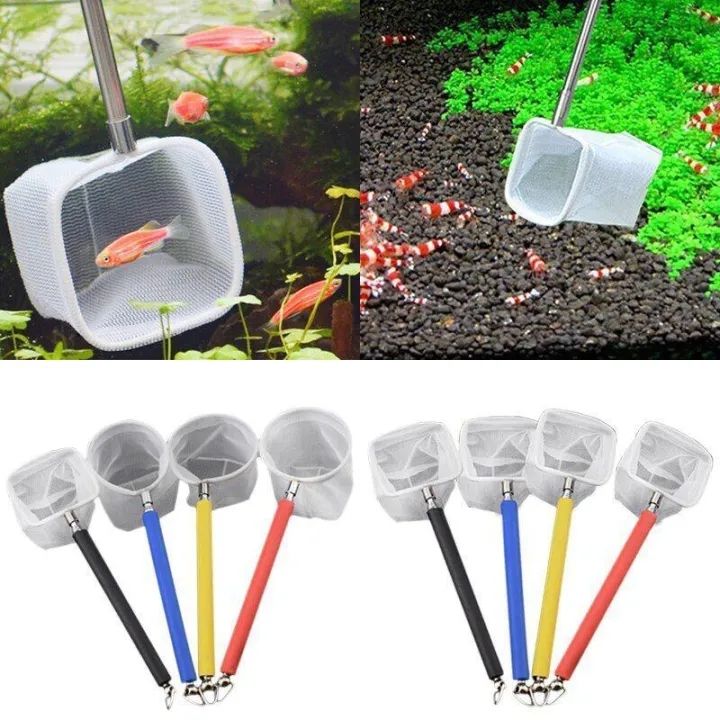 🔥 Stainless Steel Mini Fish Scoop🔥 Premium Quality Betta Small Fish ...