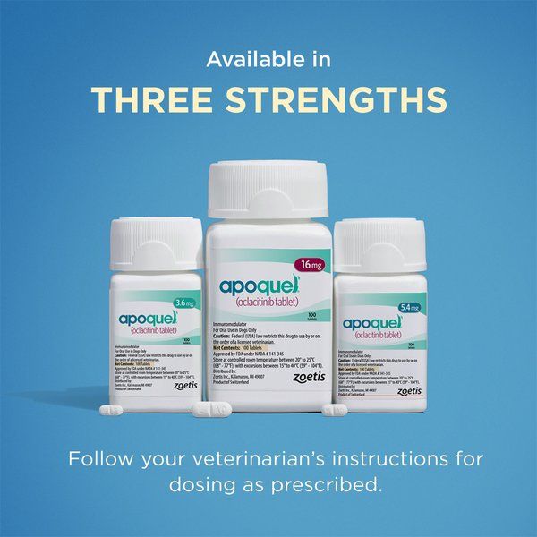 Apoquel Tablets for Itchy Dogs 3.6mg 5.4mg 16mg Sold Per 10Tablets | Lazada