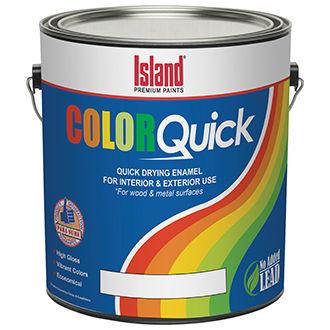 Color Quick | Lazada PH