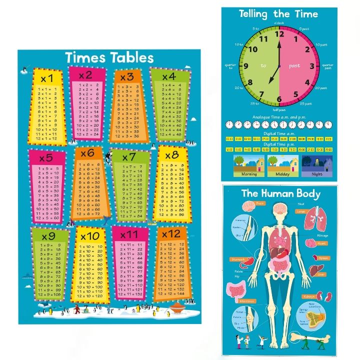 Telling The Time, Times Tables, The Human Body, Laminated Educational ...
