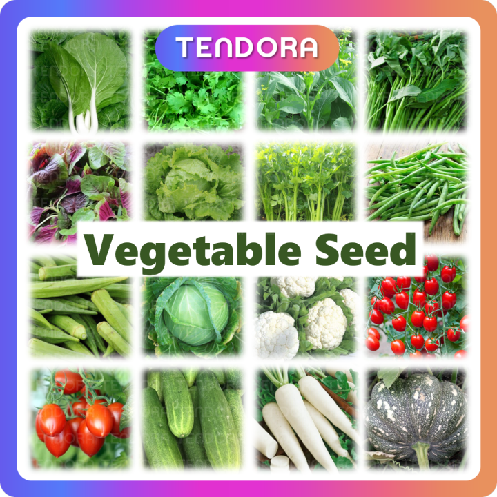 High Germination Vegetable Seed Non GMO Biji Benih Sayur sayuran ...