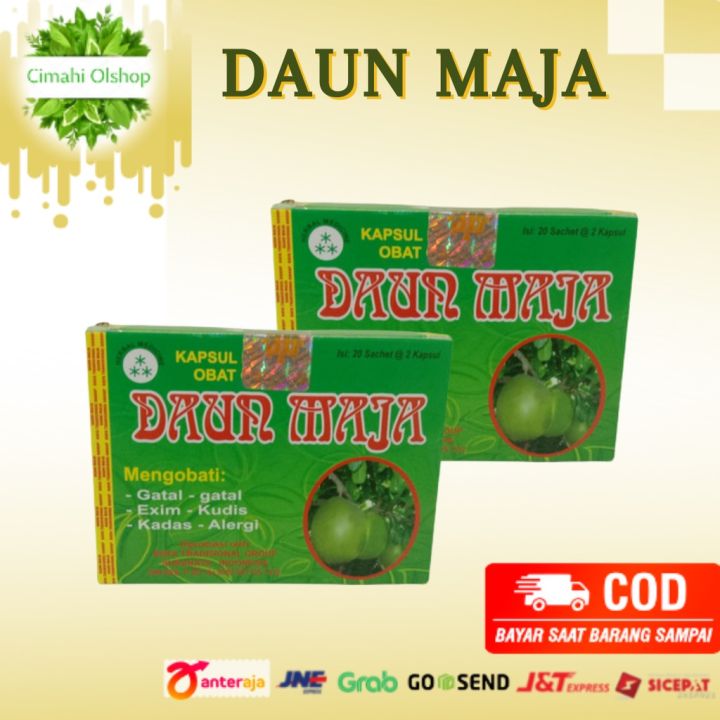 KAPSUL DAUN MAJA OBAT GATAL-GATAL|EKSIM|EKSTRAK DAUN MAJA OBAT PENYAKIT ...