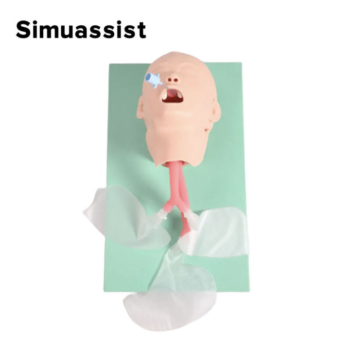 Advanced Children Tracheal intubation model, Child Airway Intubation ...