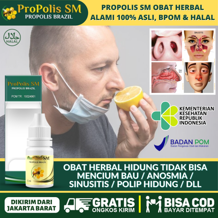 Obat Untuk Atasi Penurunan Fungsi Indra Penciuman - Kehilangan Indra ...