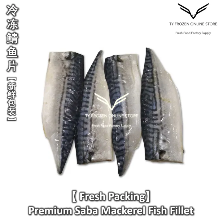 【Fresh Arrival】鲭鱼片-新鲜冷冻 l Premium Saba Mackerel Fish Fillet - Fresh ...