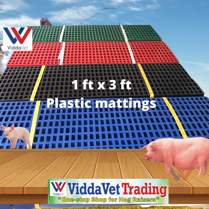 1 pc Plastic Matting 1ft x 3ft pet plastic matting plastic matting ...