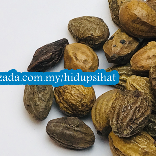 Kaduka Besar Untuk Kesihatan minuman serta masakan Kadukkai Myrobalan ...