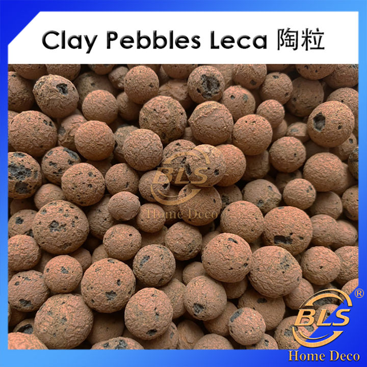 500g Leca Clay Pebbles Natural Leca Balls Expanded Clay Pebble ...