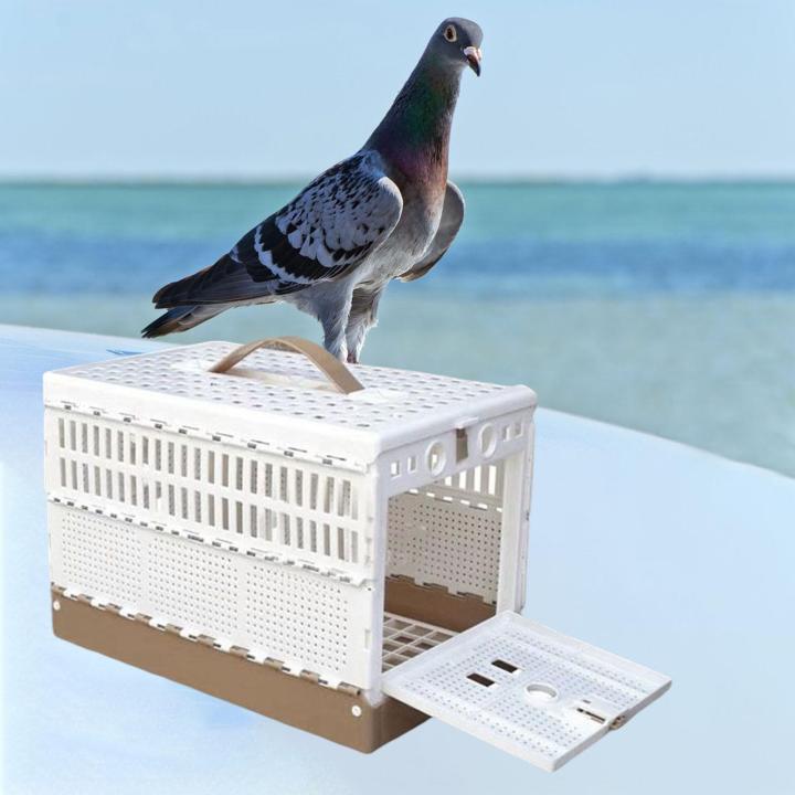 BNMUSIC Pigeon Cage Breeding Cage Pairing Cage for Racing Training ...