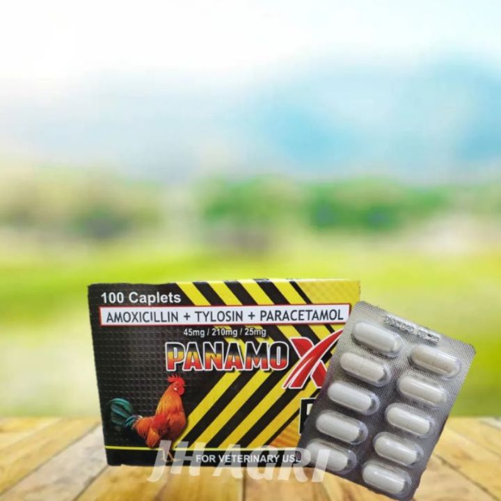 Panamox Forte Caplet (1 piece) | Lazada PH