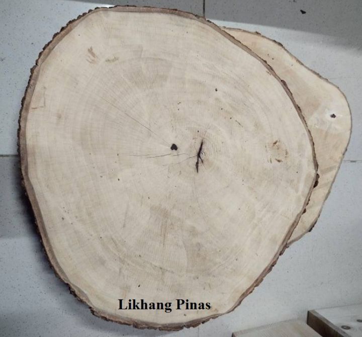 Sangkalan Tadtaran Sampalok Log with bark chopping board | Lazada PH