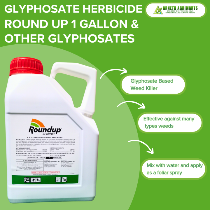 ROUND UP HERBICIDE / GLYPHOSATE HERBICIDES pamatay damo 1 GALLON (4 ...