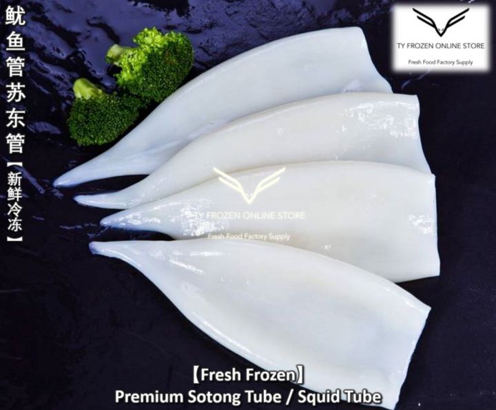【Fresh Arrival】鱿鱼管 / 苏东管 I Squid Tube / Sotong Tube (1kg+- per pack ~ 3 ...