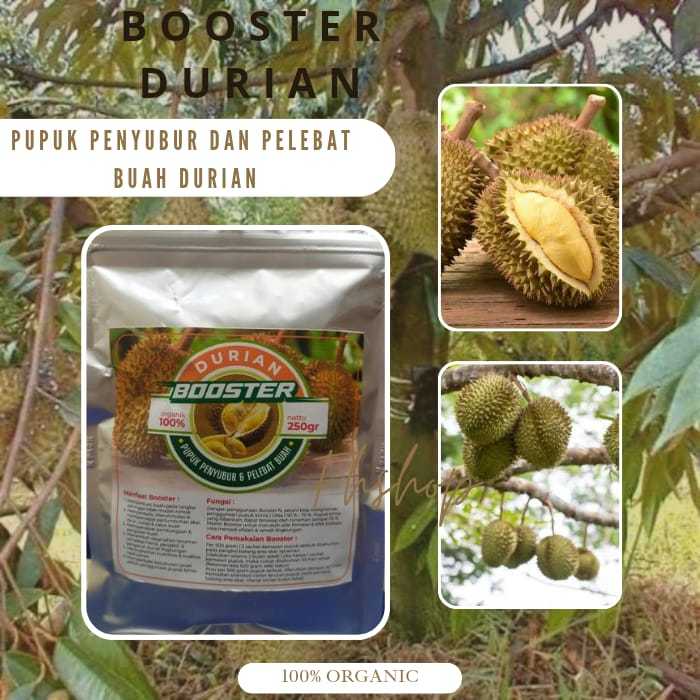 Pupuk pelebat buah durian / Pupuk Booster durian / Pupuk turbo pelebat buah durian / Pupuk ...