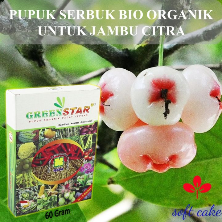Pupuk Bio Organik Naturagen Untuk Jambu Citra / Pupuk Serbuk Penyubur ...
