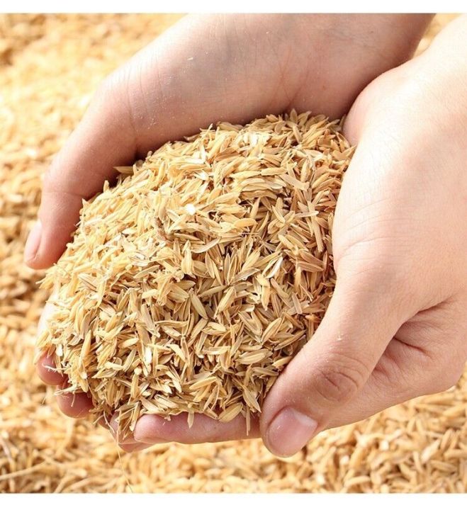 Pure Rice Hull/Ipa - Ready to Use for Indoor, Outdoor and Ornamental ...