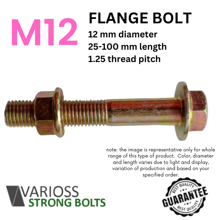 Flange Bolt M12 or 12 mmm diameter VARIOSS BOLTS - 1 flange bolt and `1 ...