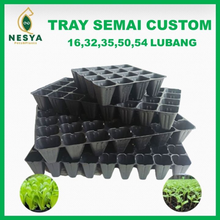 Tray Semai Trai Semai Custom Potray Wadah Semai Skala Hobi | Lazada ...