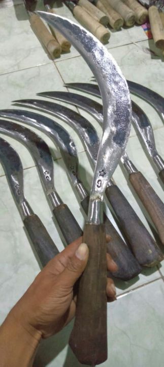ARIT SUPER UKURAN 40 CM / ARIT PENEBAS RANTING POHON / ARIT PERKEBUNAN ...