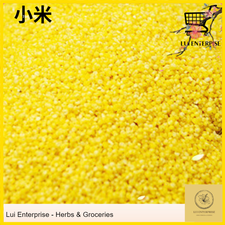 Millet (Yellow Rice ) Lower Blood Sugar and Cholesterol Level 小米 补脾胃 ...