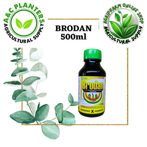 BRODAN INSECTICIDE 500ml | Lazada PH