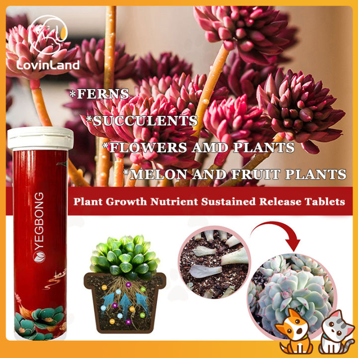 Lovinland Organic Plant Growth Nutrients Slow Release Tablets ...
