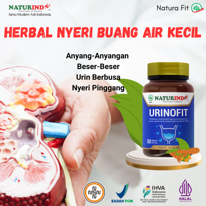 Herbal Nyeri BAK Beser Beser Anyang Anyangan Nyeri Pinggang Urin ...