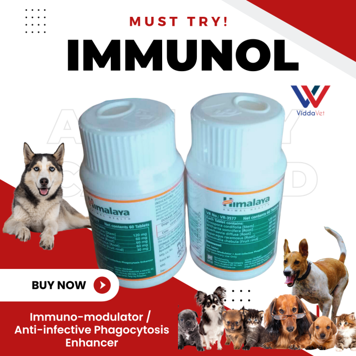Himalaya Animal Health IMMUNOL 60tablets Immuno modulator Vat tablet ...