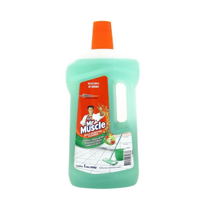 Mr. Muscle Multi-Purpose Cleaner Morning Fresh 1L | Lazada PH