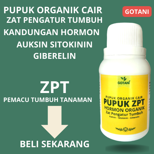Pupuk ZPT Pertumbuhan /Pupuk ZPT Lengkap /Pupuk ZPT Untuk Padi /Pupuh ... Pupuk ZPT Pertumbuhan /Pupuk ZPT Lengkap /Pupuk ZPT Untuk Padi /Pupuh ...