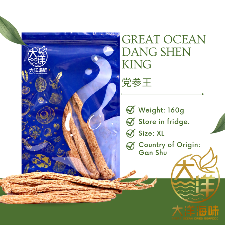 [160g] Great Ocean Dang Shen King | 党参王 (特级) | Lazada