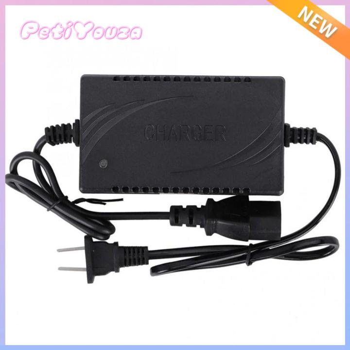 PETIYOUZA 12V Charger Adapter Multi-functional Universal Battery ...