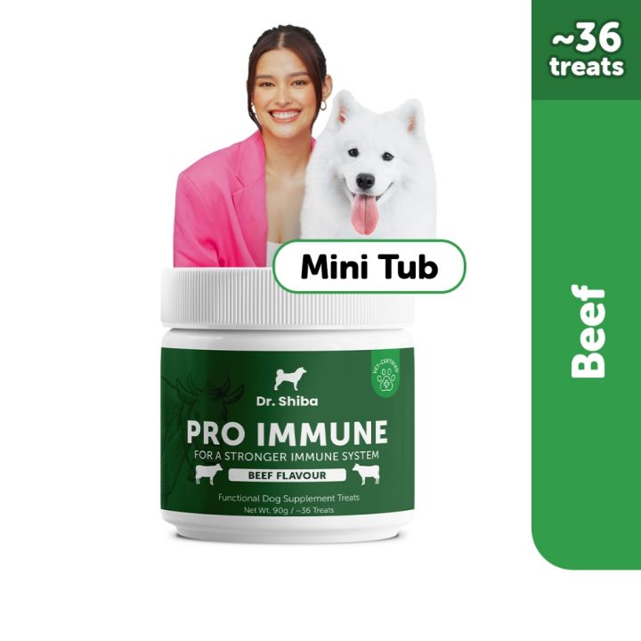 Dr. Shiba Pro Immune Mini Tub - Beef 90g Dog Treats Snack - Dog Food ...