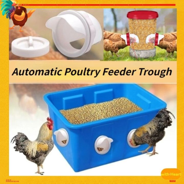 Automatic Chicken Feeder Trough Install At Food Bucket Automatic Feed ...