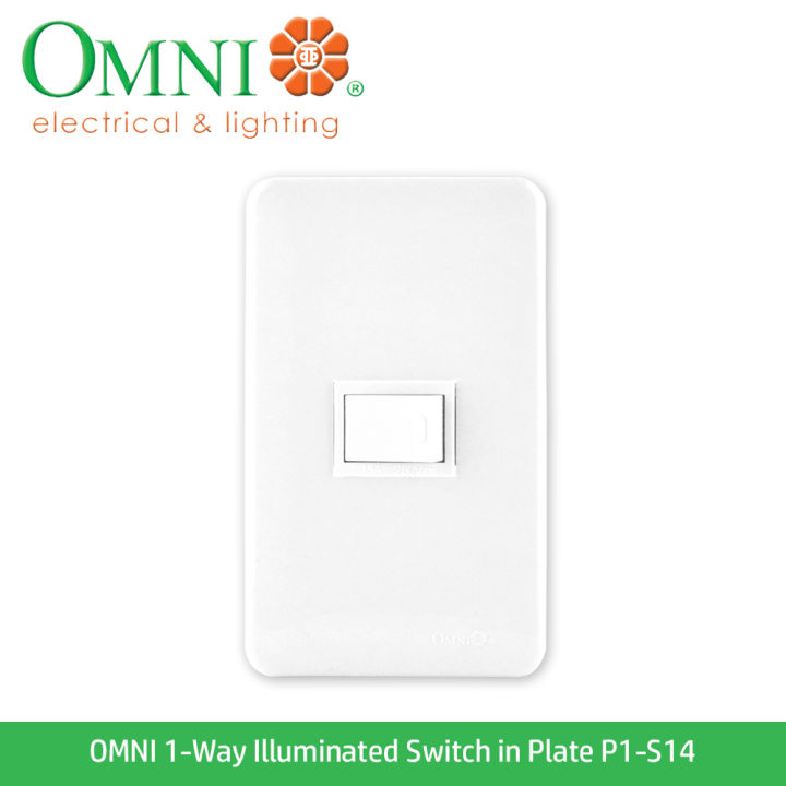 OMNI CS Classic Series Flush Type 1-Way Switch in Plate Model P1-S13 ...